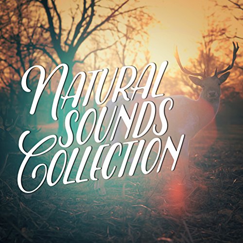 Amazon Music - Natural Sounds, Nature Sound Collection & Nature Soundsの ...