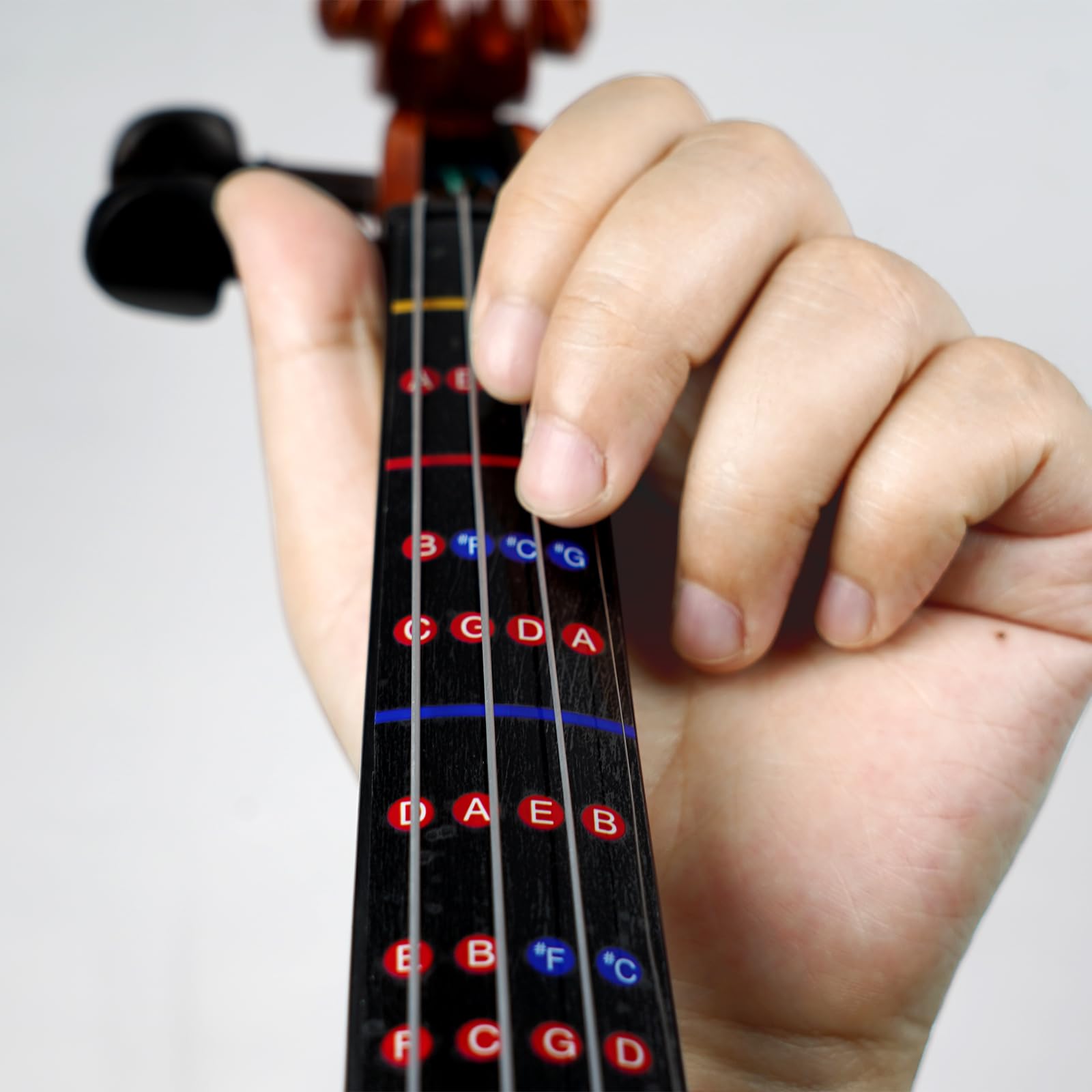 Snapklik.com : PHOENIX Violin Finger Guide And Fingering Chart ...