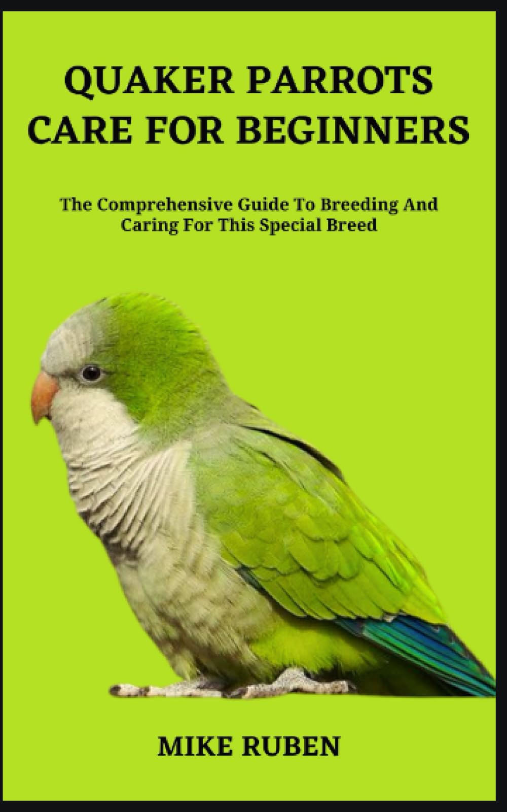 Quaker Parrot Full Profile History And Care Quakers