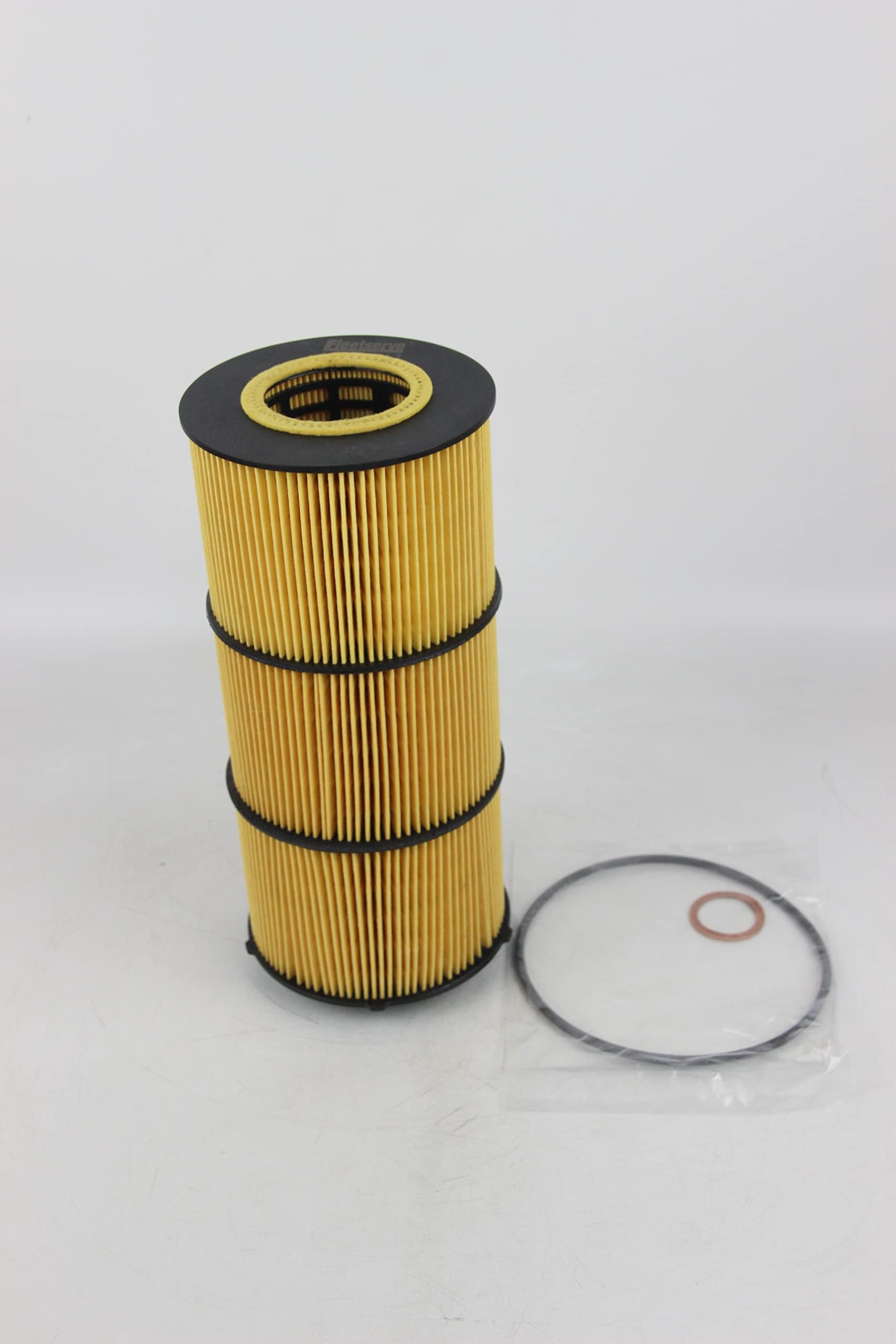 Amazon.com: LF17511 Oil Filter Fit for 2012-2020 Freightliner Trucks ...