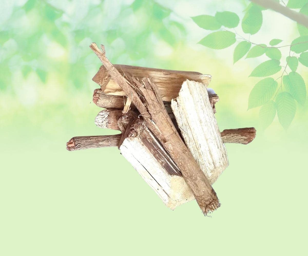 Buy Arand Mool-Ricinus Communes-Raw Herbs-Castor Root-Arandi Jadd-Erand ...