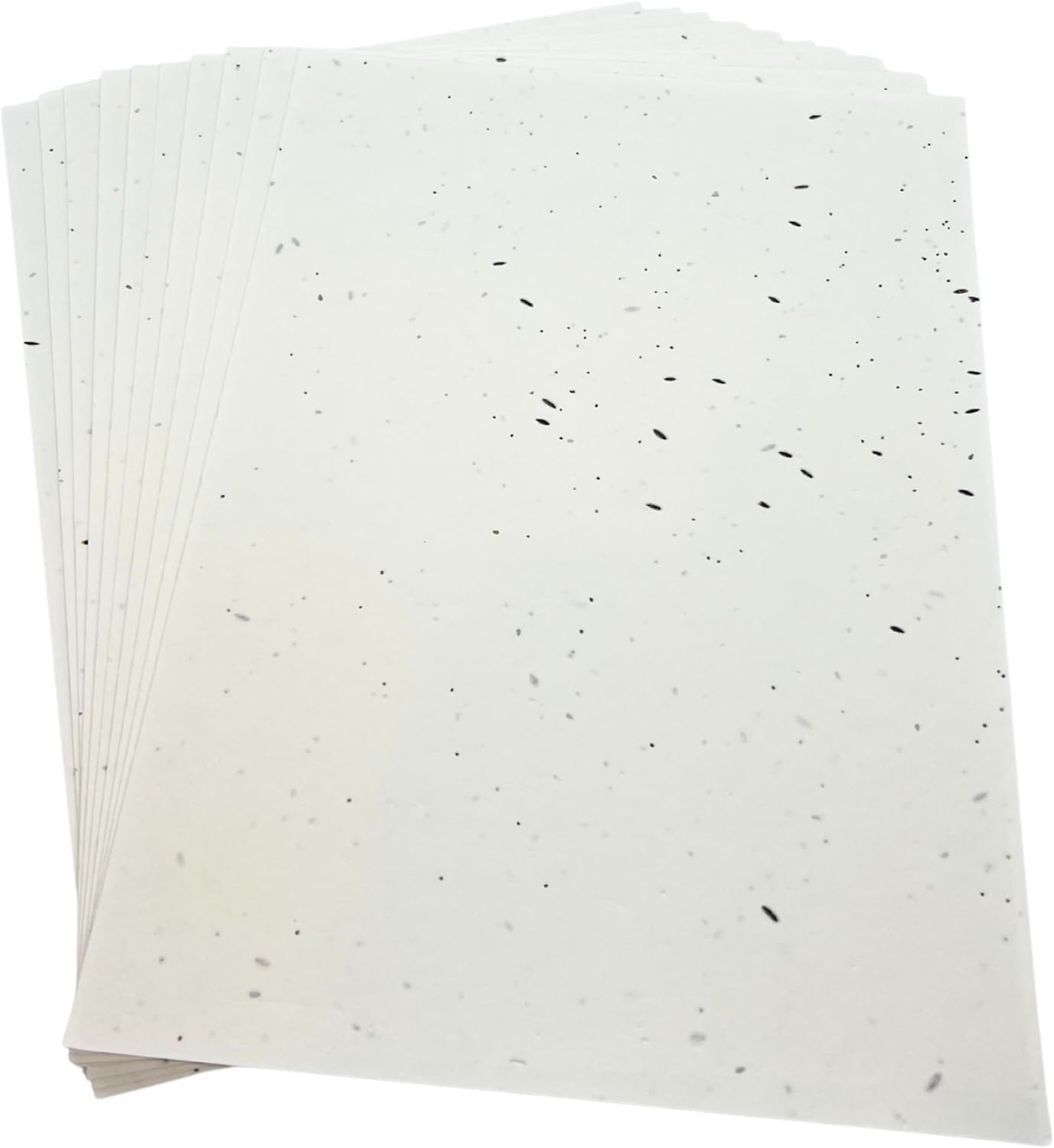 Seeded Craft Paper 10 Sheets A4 Size Mixed Wildflower Seeds 200GSM ...