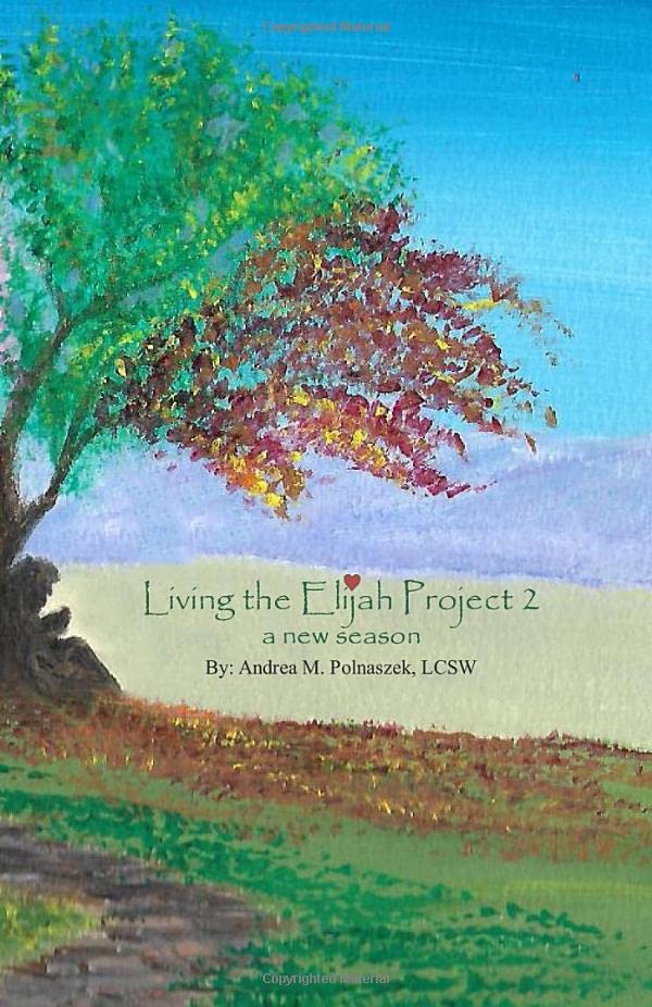Living the Elijah Project 2: A New Season: Polnaszek LCSW, Andrea M ...
