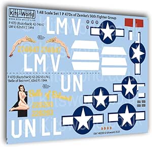 Amazon.com: Kits World KW148200 1/48 Decal for Razorback P 47s of The ...