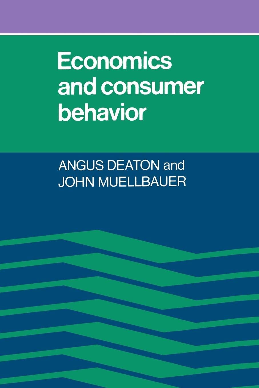 Economics and Consumer Behavior | Amazon.com.br
