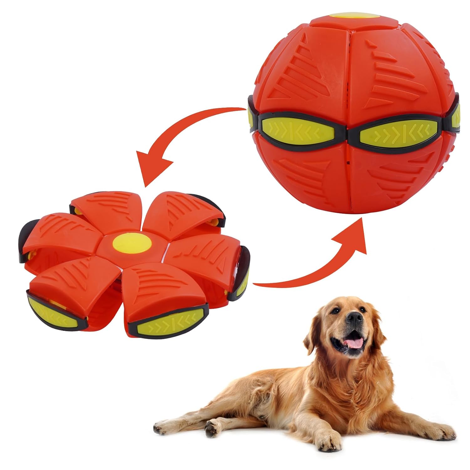 Buy Allroaring Pet Toy Flying Saucer Ball for Dogs, Magic UFO Ball for ...