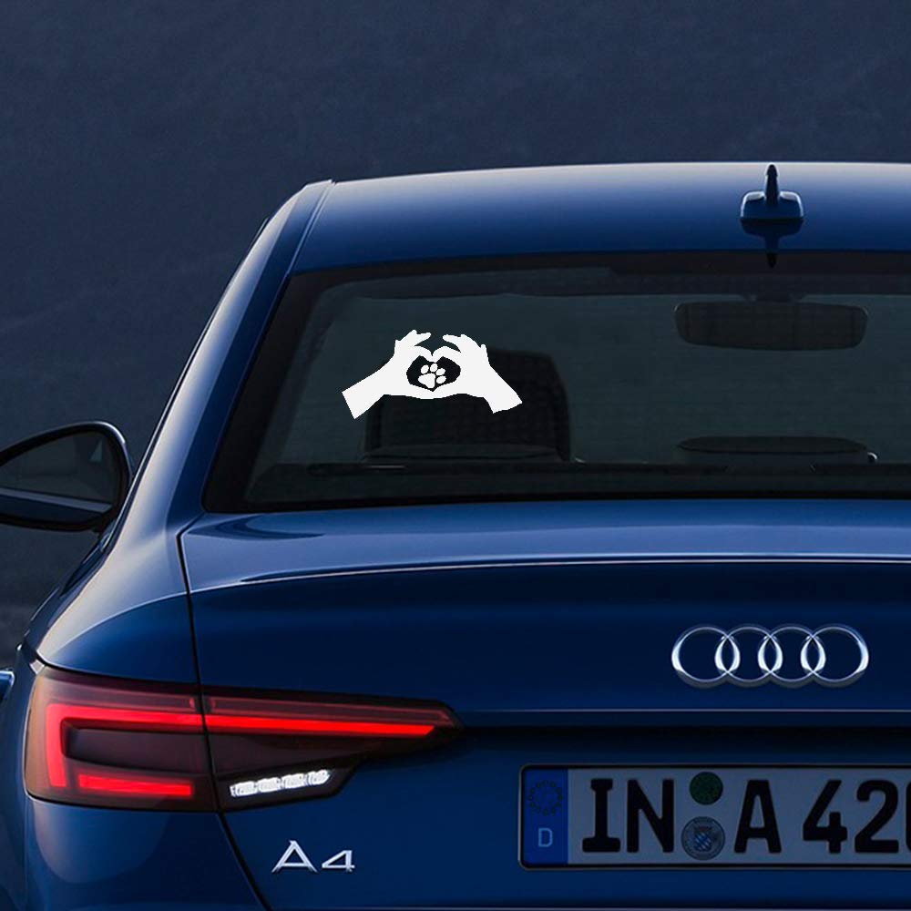 Jdm Love Quotes Peeping Koala Sticker Decal Cute Funny JDM