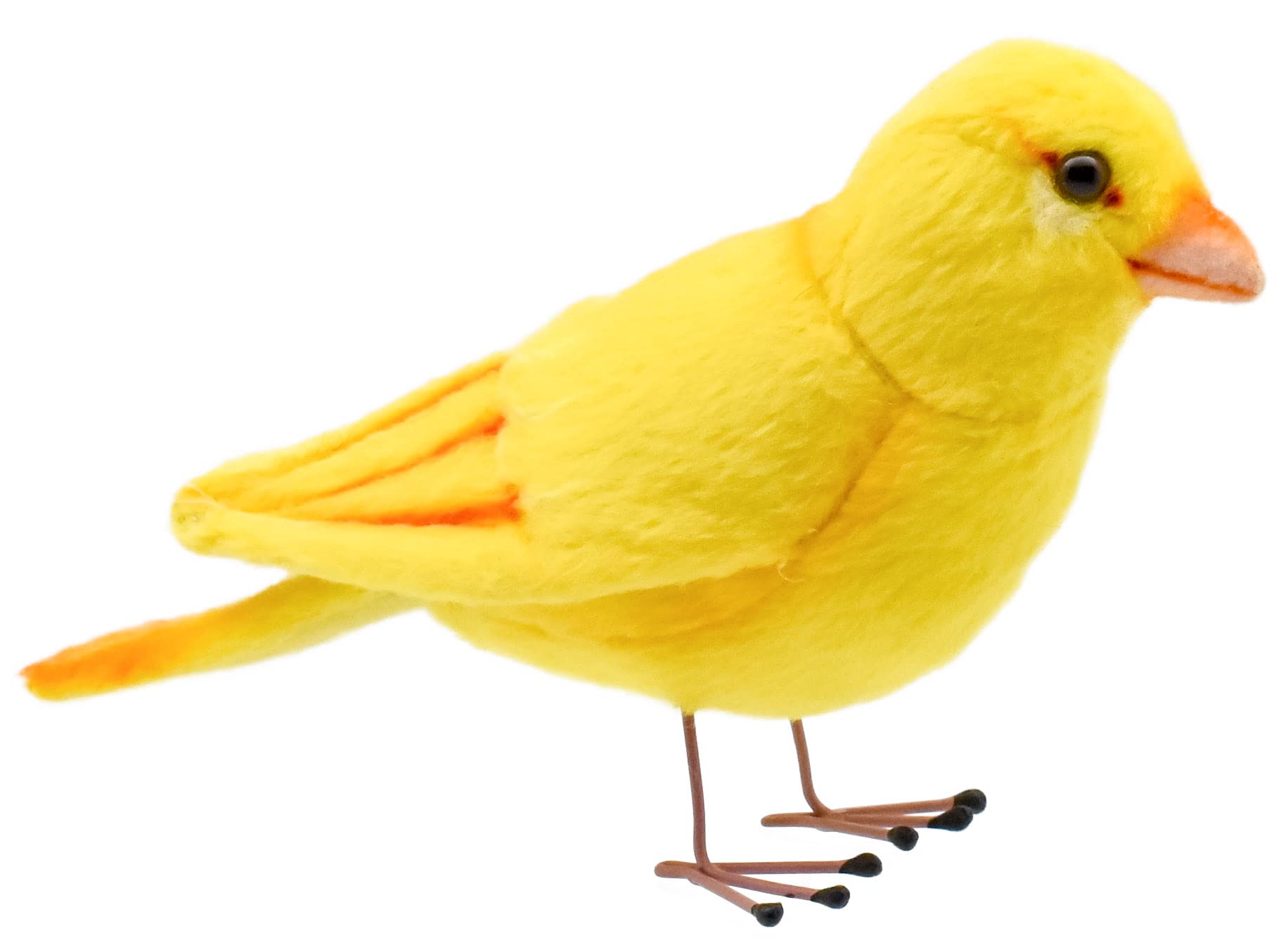 Vivaldi The Canary PNG 2 by Collegeman1998 on DeviantArt