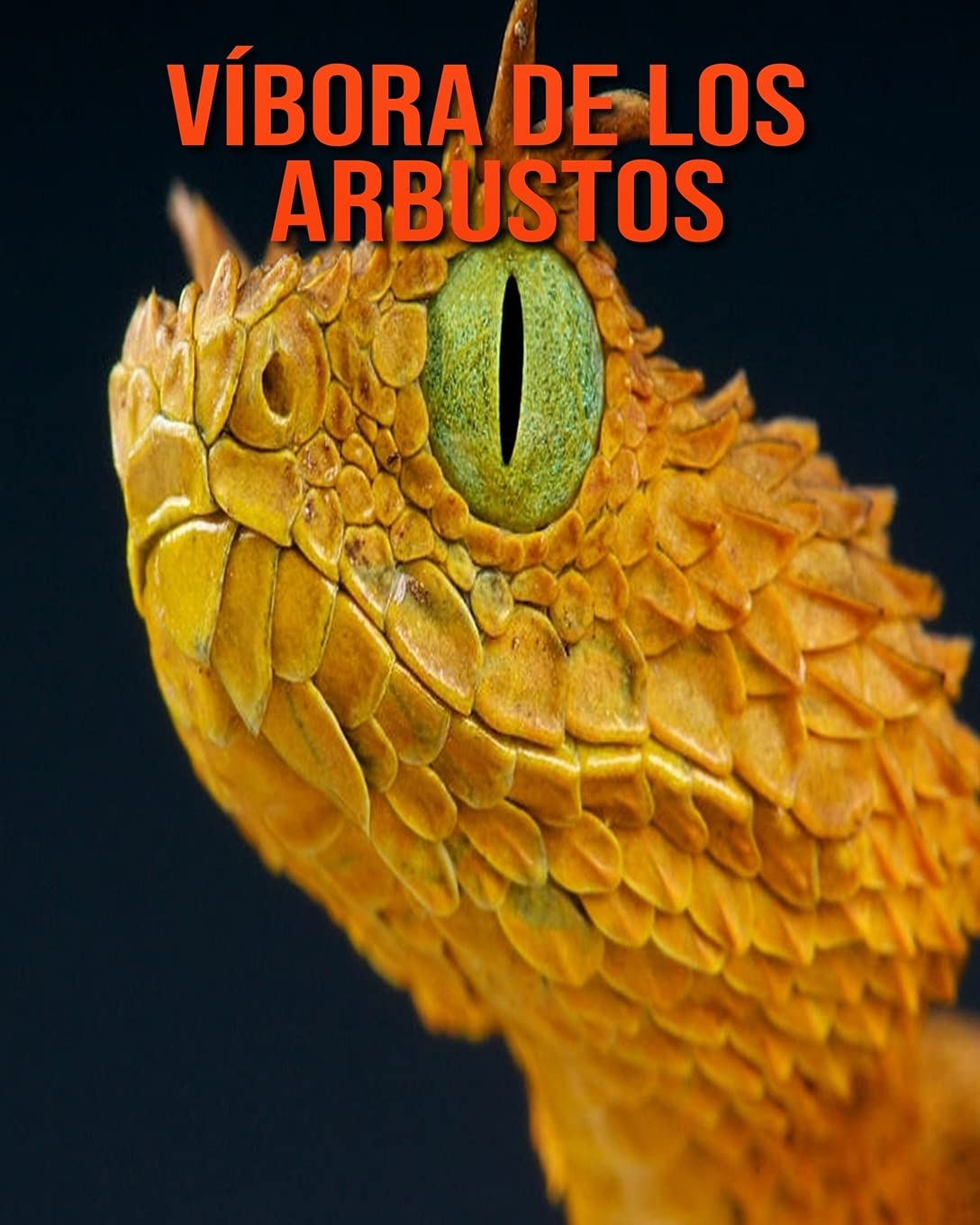 Vibora De Los Arbustos Libro Para Ninos Con Imagenes Asombrosas ...