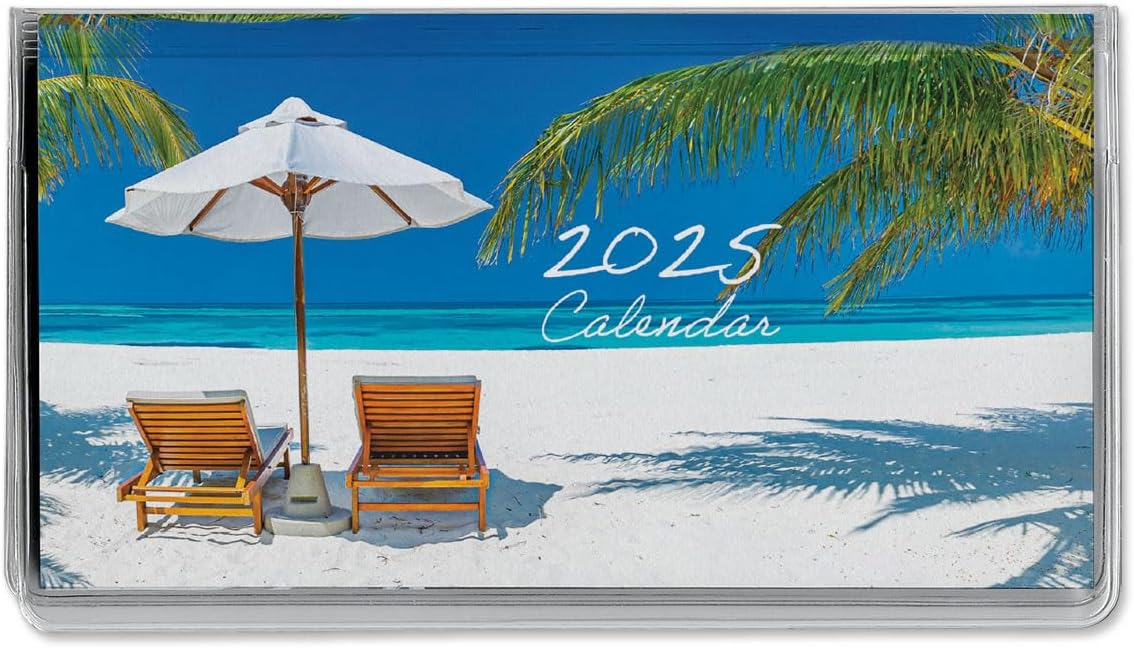 Amazon.com : ReliThick 6 Pcs 2025 Pocket Calendar for Purse Monthly ...