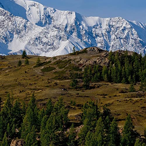 Amazon.co.jp: Life Story : Rikar: Digital Music