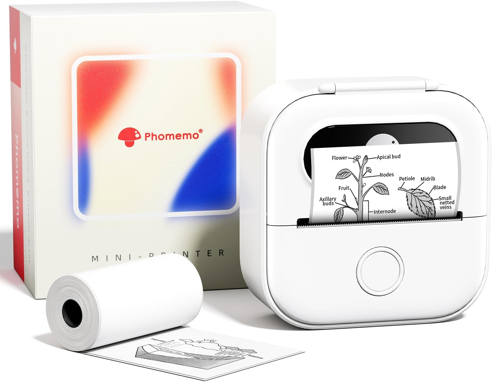 Amazon.com: Phomemo Sticker Printer - Y02C Mini Pocket Sticker Printer ...