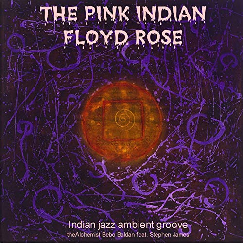 Amazon.com: The Pink Indian Floyd Rose : Bebo Baldan: Digital Music