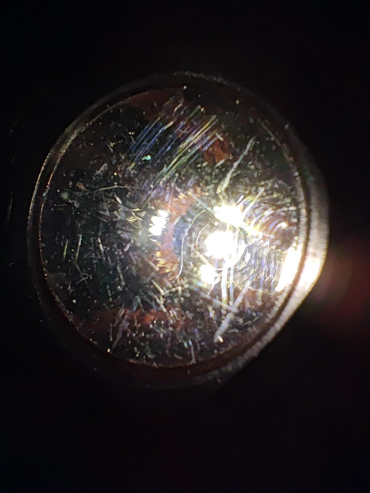 Panasonic Precedent Micro 0.5W Led Torch with 2 AA Battery, Black (Pack ...