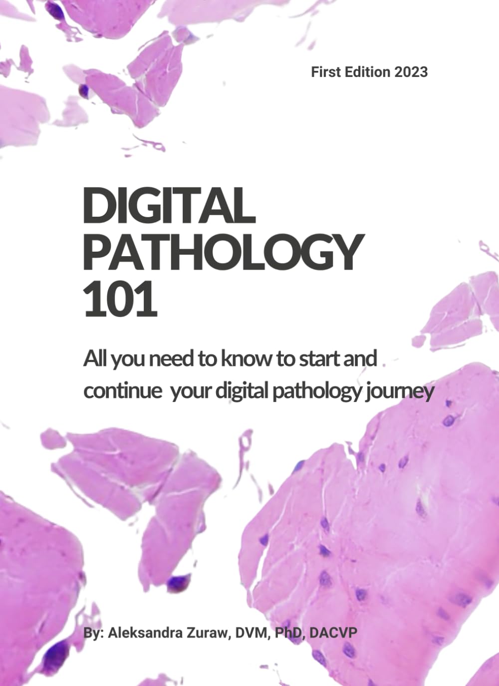Digital Pathology 101: All You Need to Know to Start and Continue Your ...