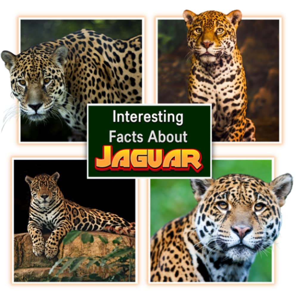Interesting Facts About Jaguars: Children's Picture Book for Jaguars ...