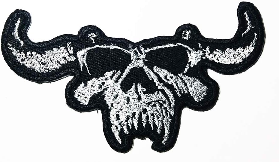 Amazon.com: Music D Patch 10.3x6.3 CM Gothic Skull Iron-On Embroidered ...
