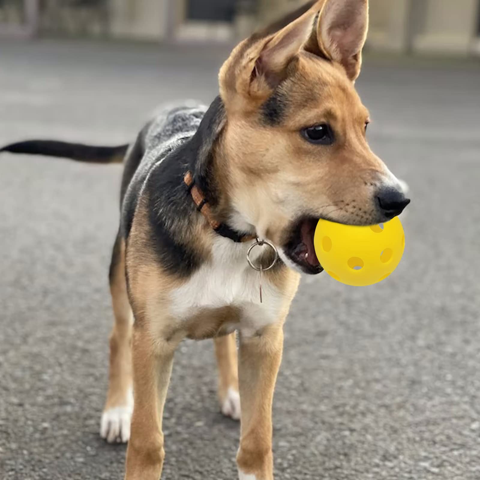 20 Pack Baseball Practice Balls - Soft Training Baseballs for Batting ...