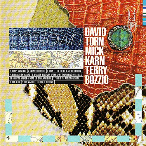 Play Polytown by David Torn, Mick Karn & Terry Bozzio on Amazon Music