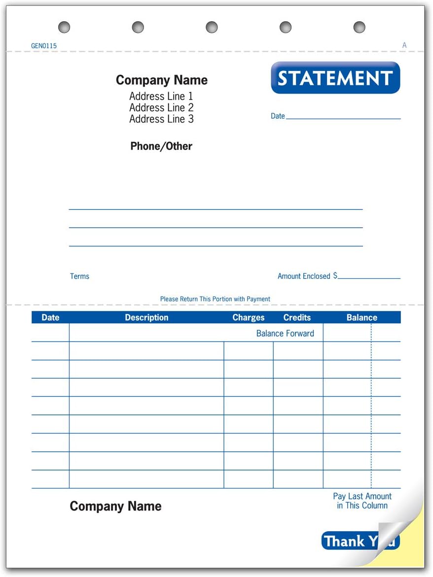Amazon.com : CheckSimple Customer Account Statement Form - 2 Parts (250 ...