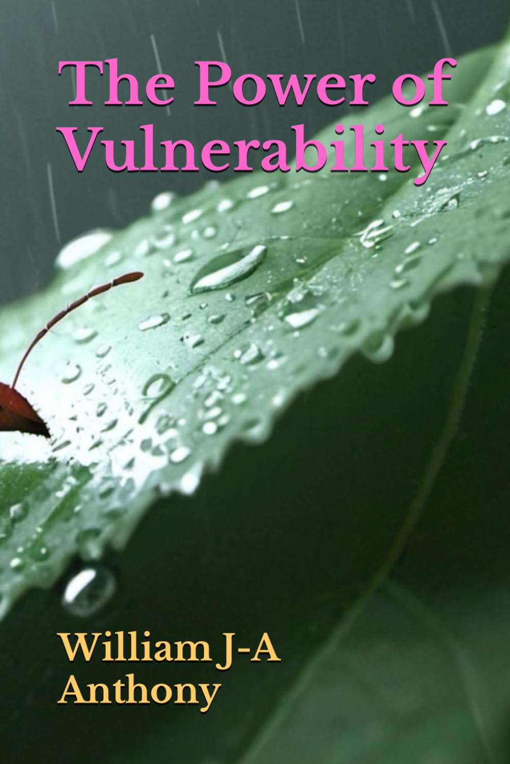 The Power of Vulnerability: "How Embracing Your Imperfections Can Transform Your Life": Anthony ...