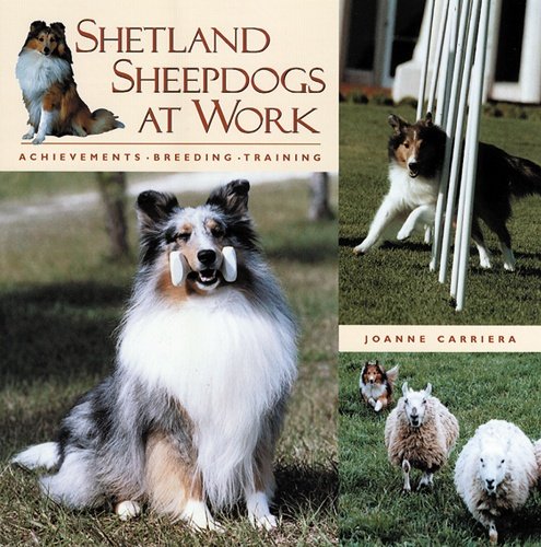 The Shetland Sheepdog at Work: Joanne Carriera: 9780931866906: Amazon ...