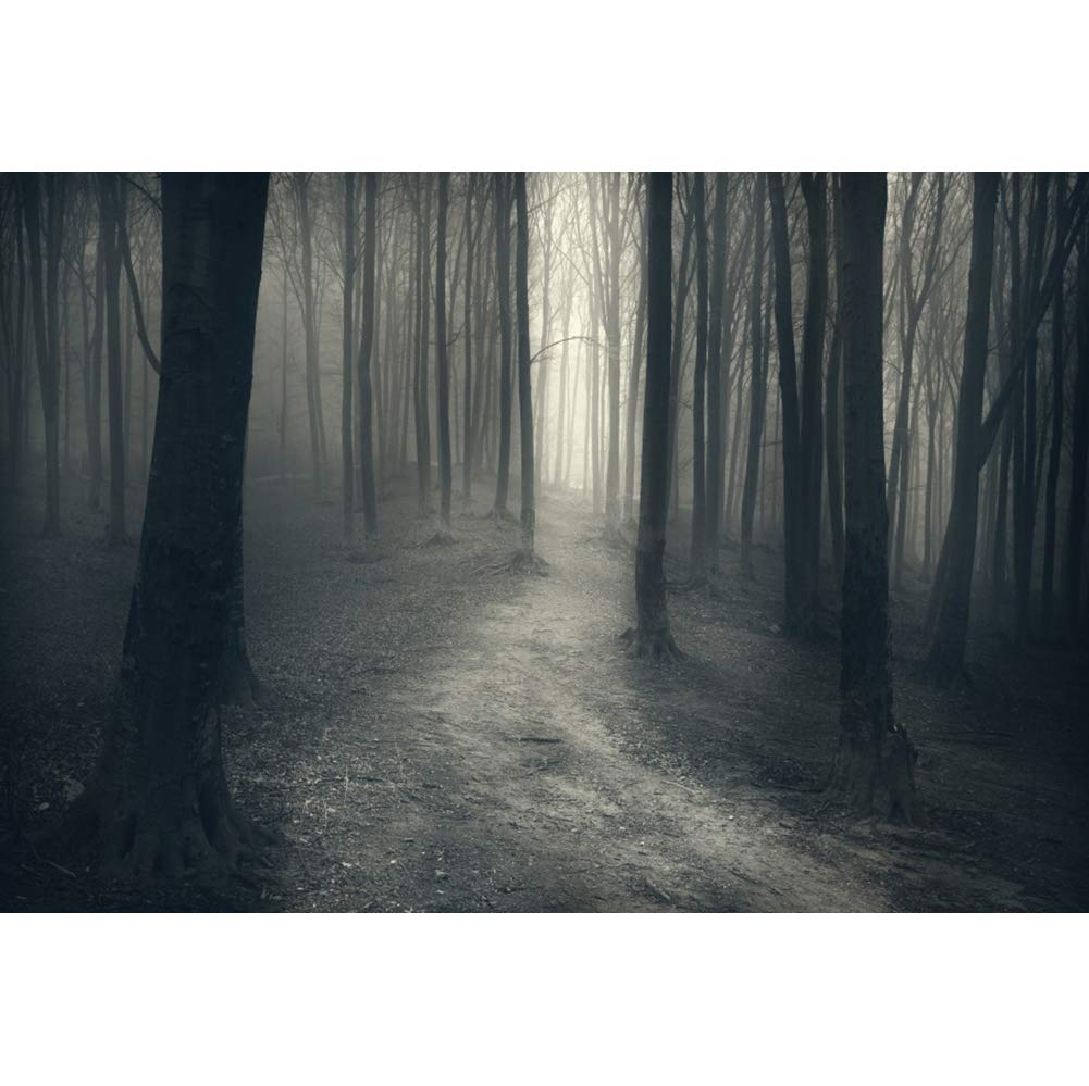 Horror Forest Background