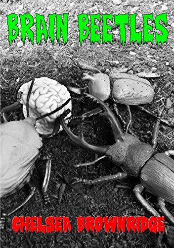 Brain Beetles: Amazon.co.uk: Brownridge, Chelsea: 9783737552769: Books