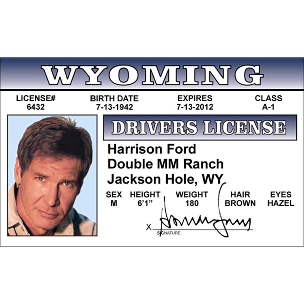 Amazon.com: Signs 4 Fun Parody Driver’s License | Harrison Ford ID ...
