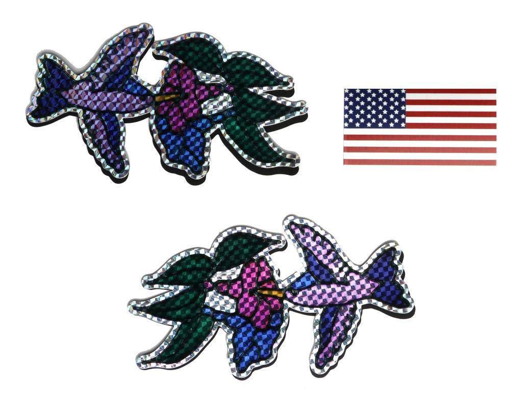 Amazon.com: Magnetic Hummingbird Door Screen Saver/Refrigerator Magnet ...