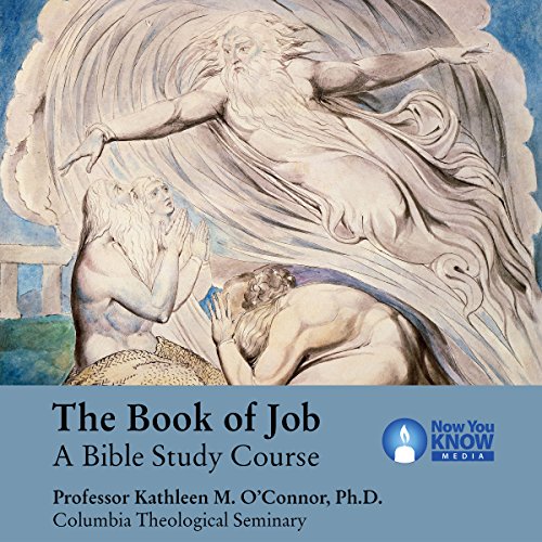 Amazon.com: The Book of Job (Audible Audio Edition): Stephen Mitchell ...