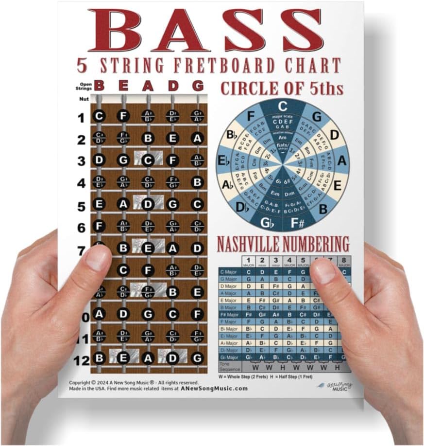 Laminated 5 String Bass Fretboard Notes Chart Philippines | Ubuy