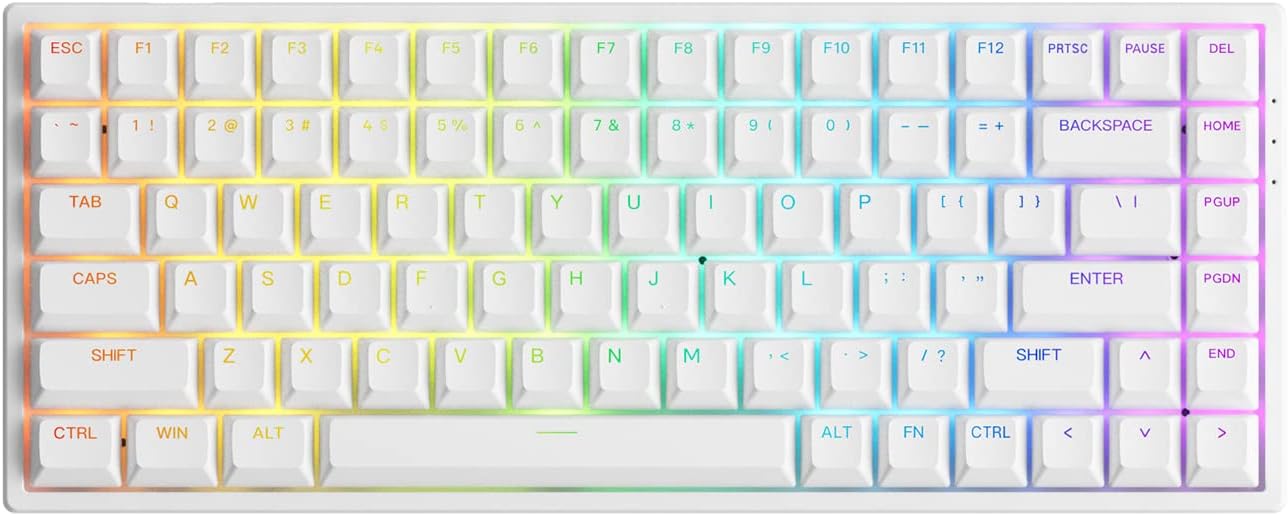 Amazon.com: Akko 3084S 75% Percent 84-Key RGB Hot-swappable Mechanical ...