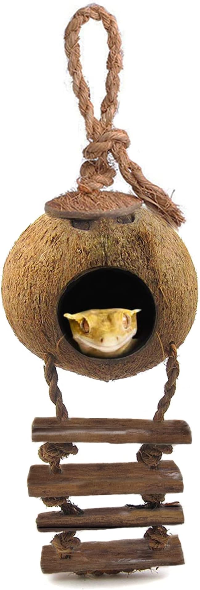 Amazon.com: SunGrow Crested Gecko, Snake & Ball Python Coco Hut, Treat ...