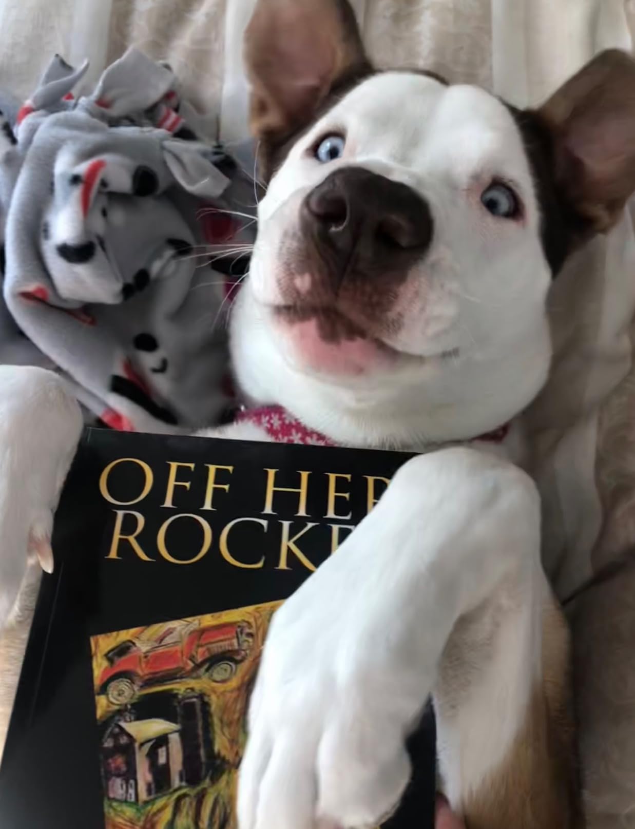 Off Her Rocker: Collman, Diane Lynn: 9781506181134: Amazon.com: Books