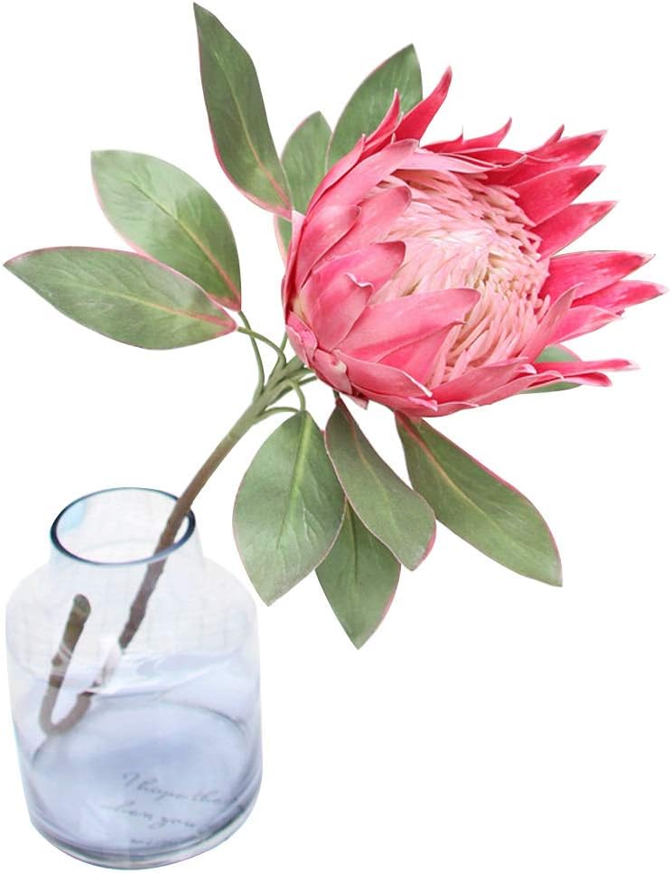Calcifer 1 Pcs 75 cm The King Protea (Protea Cynaroides) Artificial ...