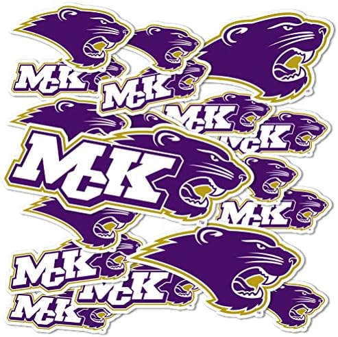 Amazon.com: Desert Cactus McKendree University Sticker MCK Bearcats ...
