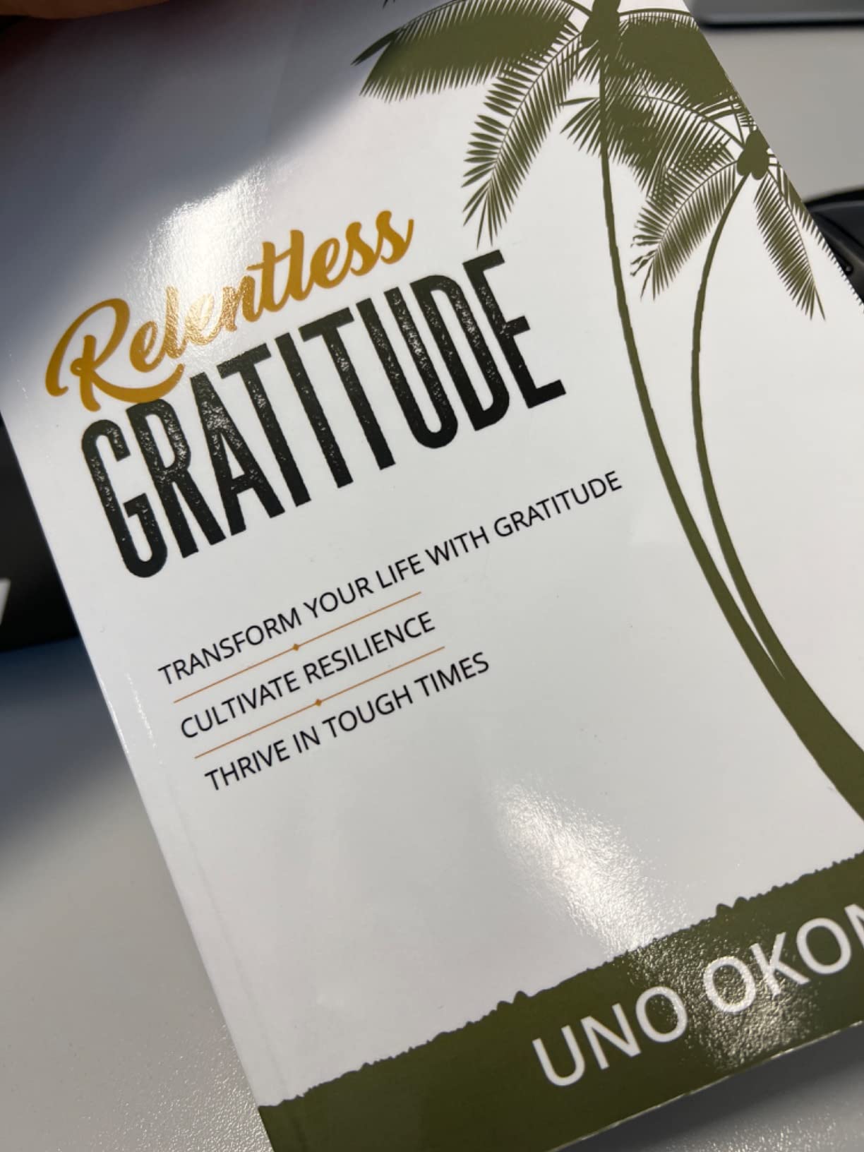 Relentless Gratitude: Transform Your Life with Gratitude | Cultivate Resilience | Thrive in ...