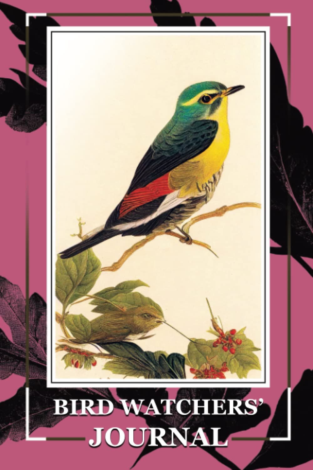Bird Watchers' Journal: Vintage Style Log Book for Expert and Beginner ...