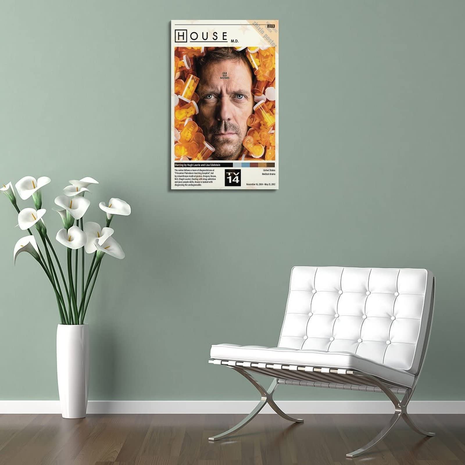 Snapklik.com : DOKTor House Md Tv Series Show Poster Decorative ...