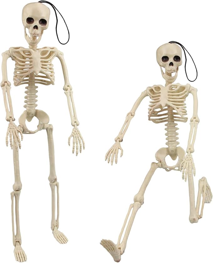 Amazon.com: MEMOVAN Mini Skeleton Model 16" Halloween Skeleton Small ...