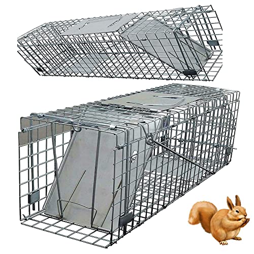 9 Best Tin Cat Traps 2023 | Prime Deals for only 48 hours | BestReviews ...