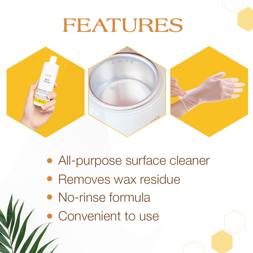 Sure Clean – All-Purpose Wax Warmer and Surface Cleaner, 8 fl oz