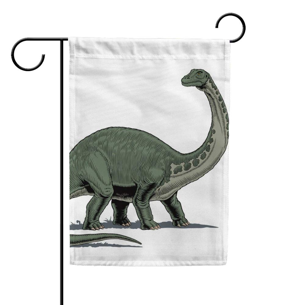 Brachiosaurus Vs Brontosaurus Vs Diplodocus