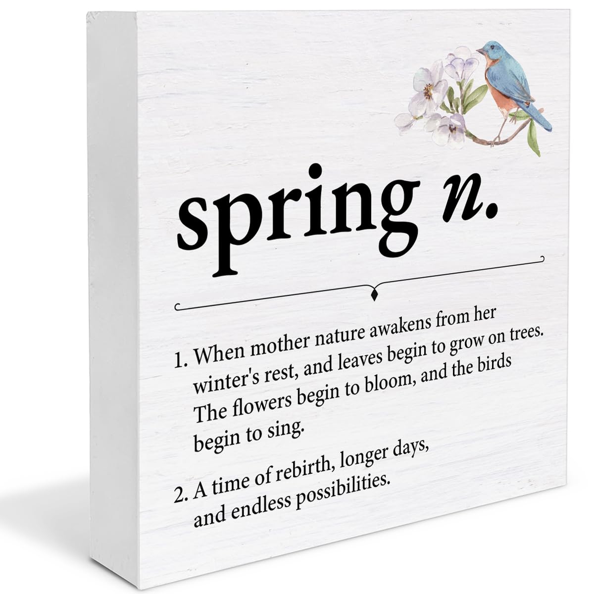 Amazon.com : Spring Decor Spring Definition Wooden Sign, Farmhouse ...