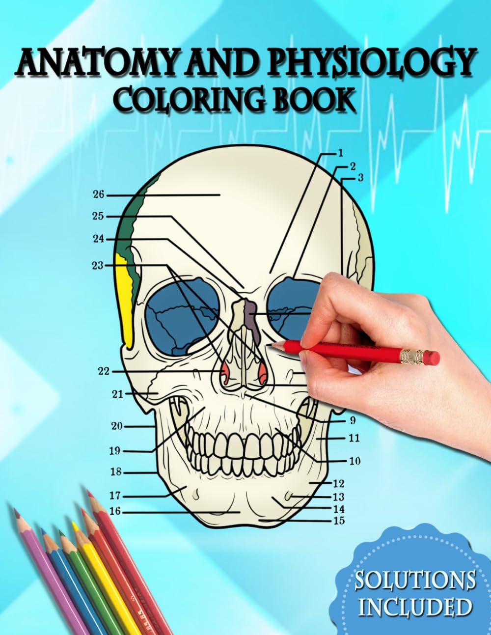 Amazon.com: Anatomy and Physiology Coloring Book: Embark on a Visual ...