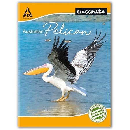 Classmate Notebook - 1 Cm Square ruling, 120 Pages, Soft Cover, 240mm x ...
