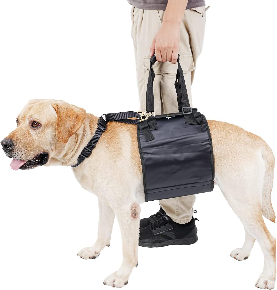 Amazon.com : Dog Support Harness, Thicker Dog Hip Sling with Neck Strap ...