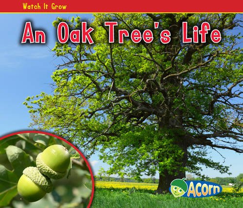 An Oak Tree's Life (Acorn: Watch It Grow): Nancy Dickmann ...