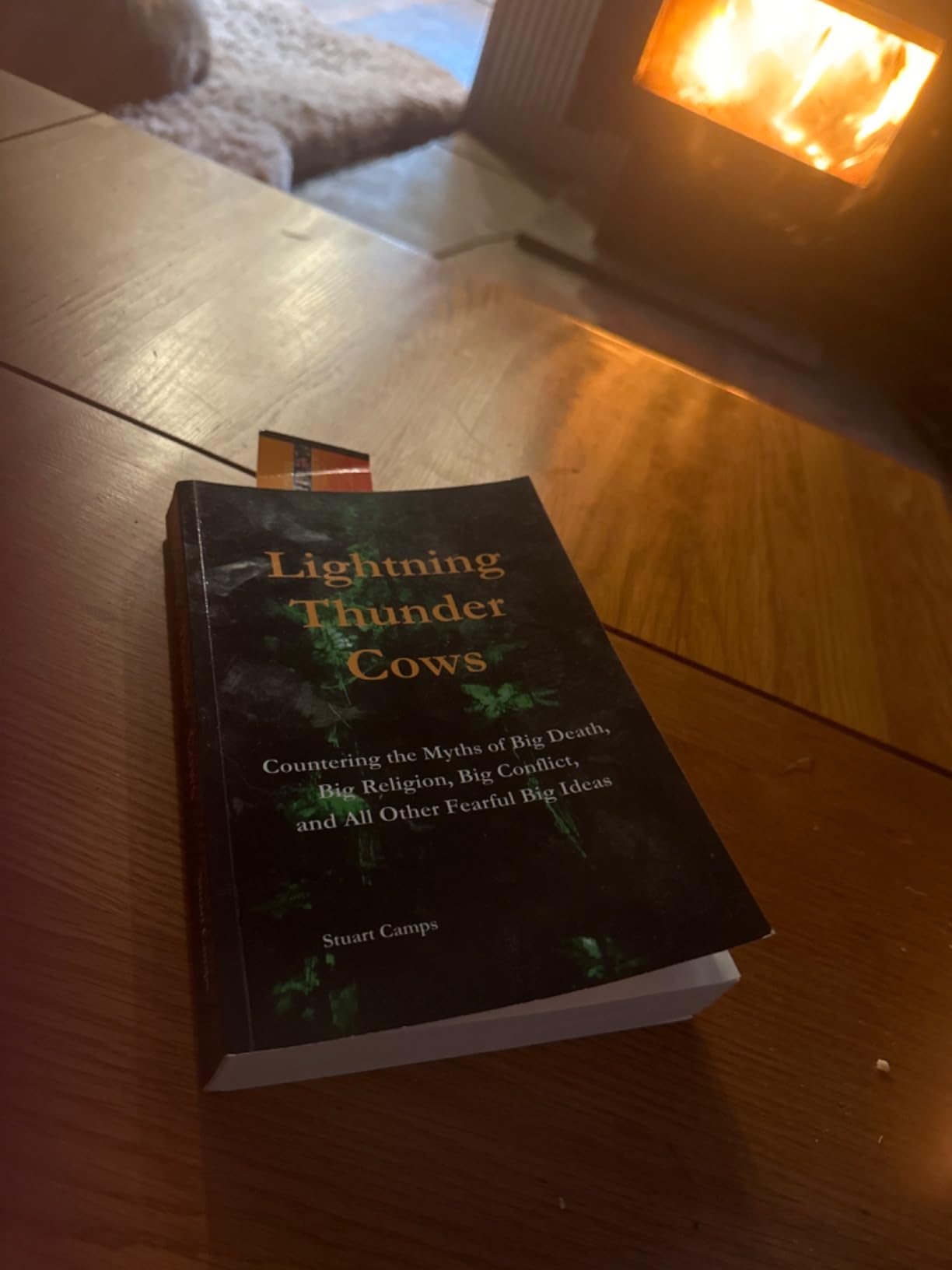 Lightning Thunder Cows : Camps, Stuart Gordon: Amazon.com.au: Books